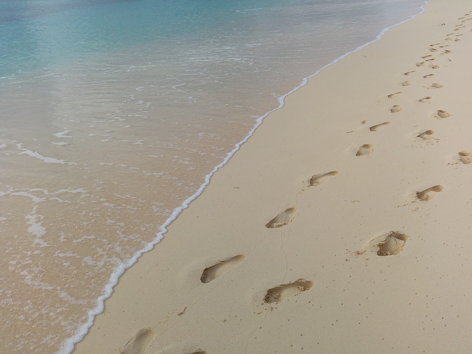 Barefoot Investor Review Does The Barefoot Investor Work 